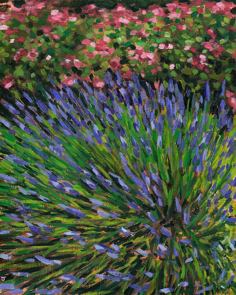 Lavender | James Hally